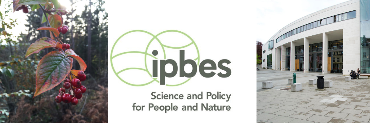 Meet IPBES | News | UiB