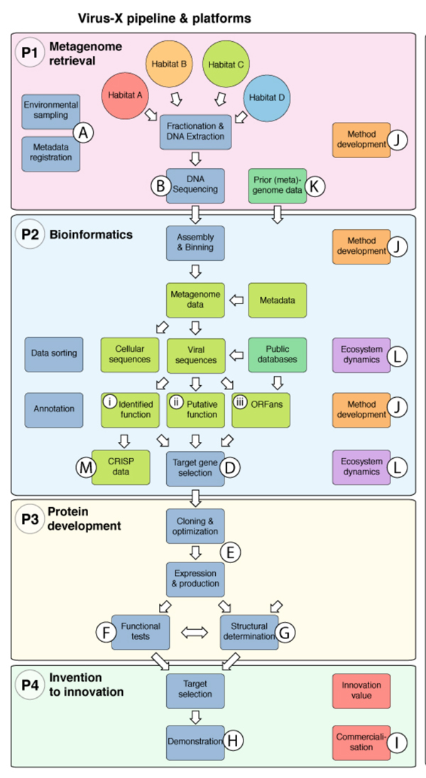 The Virosphere – the last frontier | Centre for Geobiology | UiB