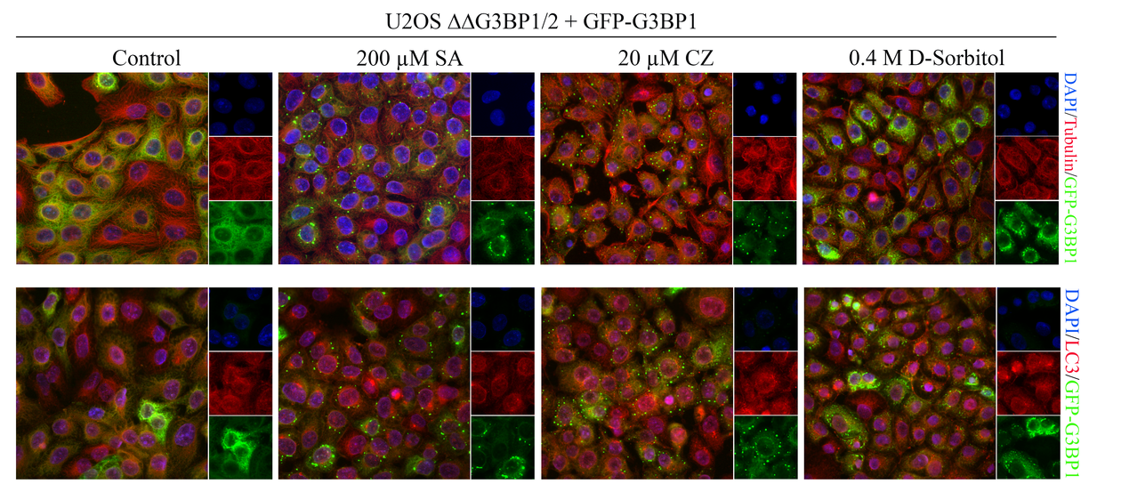 Finding new mysteries in our tiniest parts | Department of Informatics ...