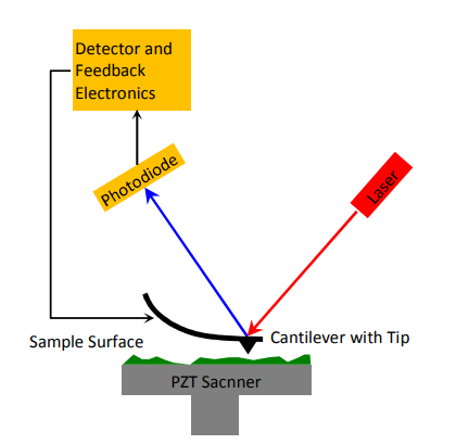 Biophysical Methods | Biophysics, Structural Biology and Screening (BiSS) | UiB