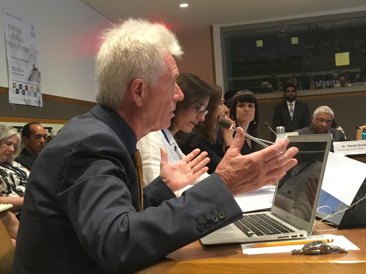 Strengthening the science-policy nexus at the United Nations | SDG ...