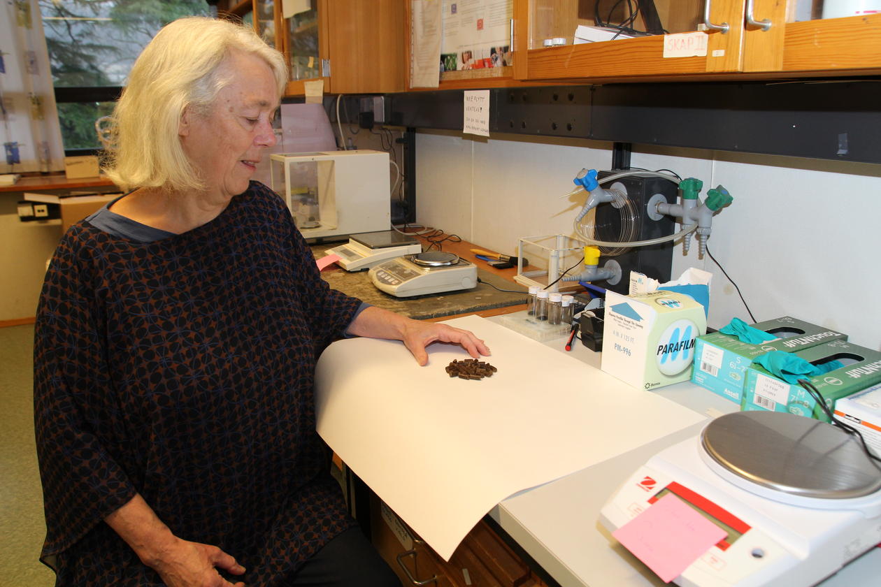 Disse kan erstatte forurensende kull i store kraftverk | Klima og ...