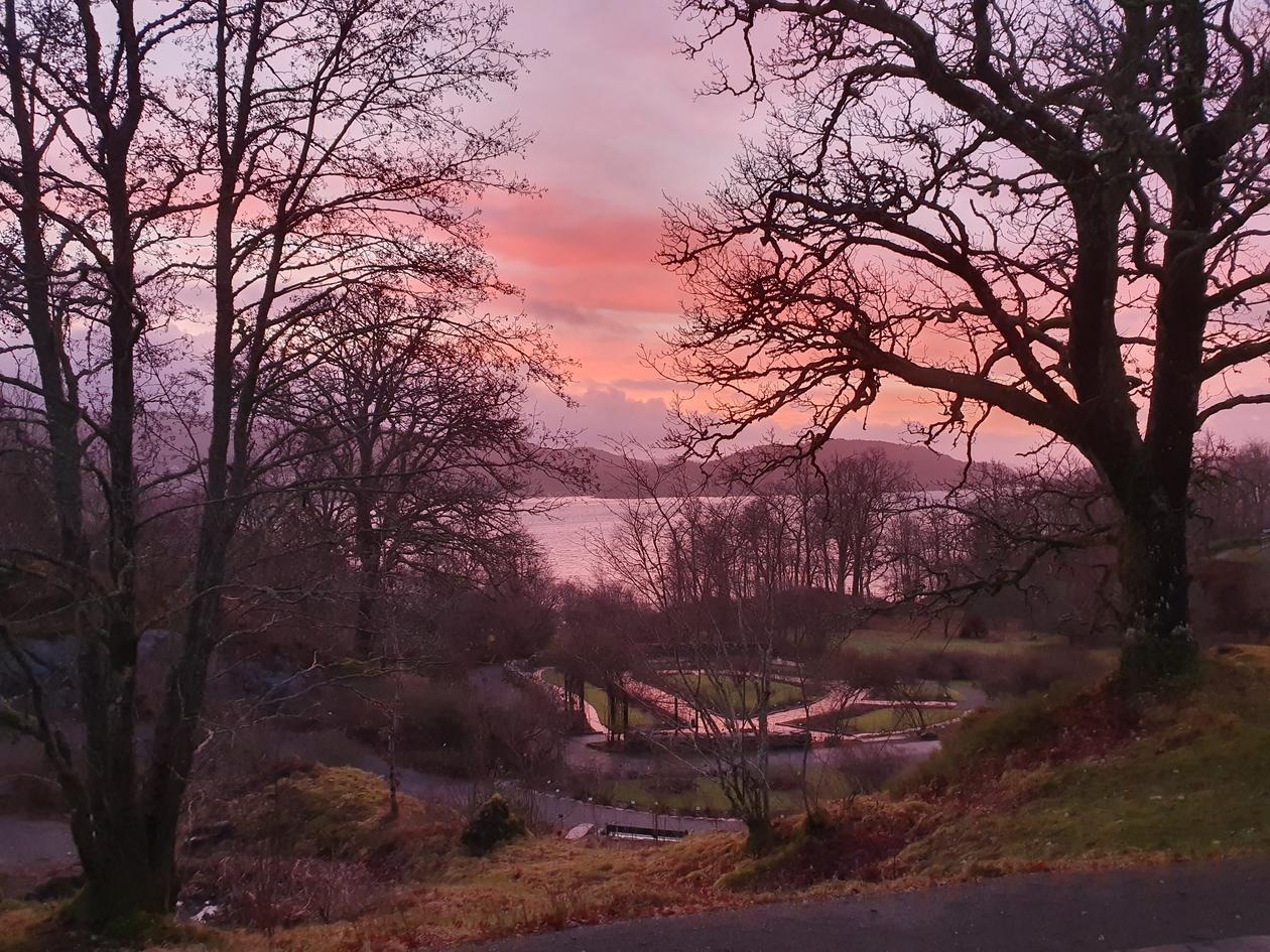 Rosaceae (the rose family) | The University Gardens | University of Bergen