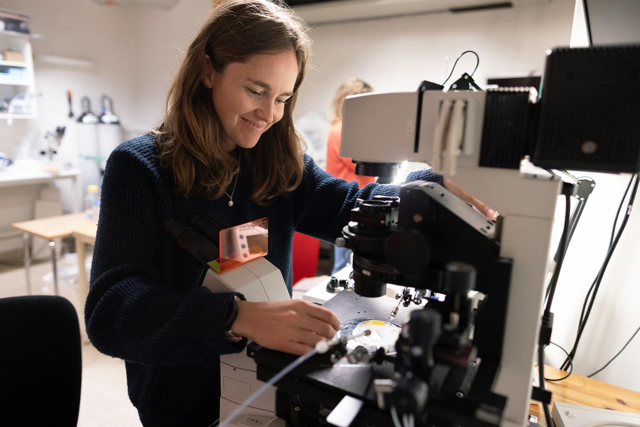 Guest researchers from KAUST visit the Michael Sars Centre to learn new ...