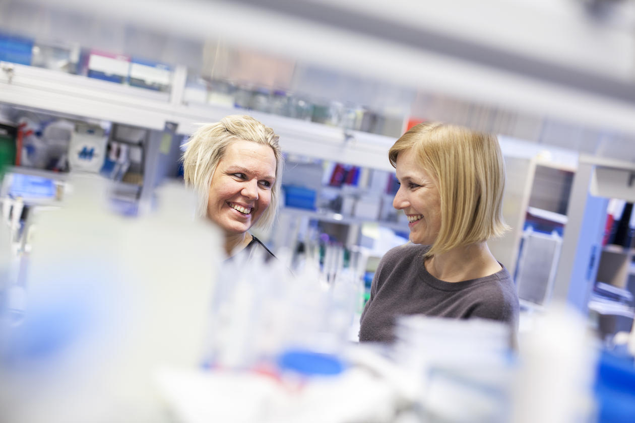 HMS-handlingsplan Det medisinske fakultet 2019 - 2022 | Det medisinske ...