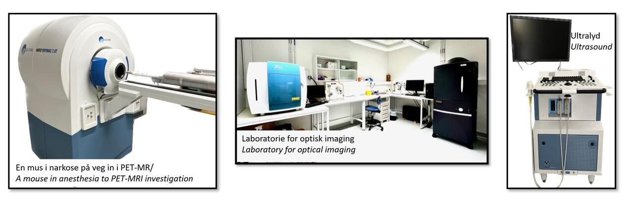 Equipment for diagnostic imaging of small research animals | The Laboratory Animal Facility | UiB