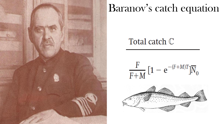 Long live the Baranov catch equation! | Evolutionary ecology | UiB