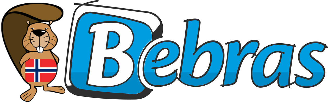 Bebras International Challenge for Informatics and Computational ...