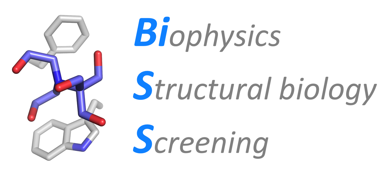 Biophysics, Structural Biology and Screening (BiSS) | University of Bergen
