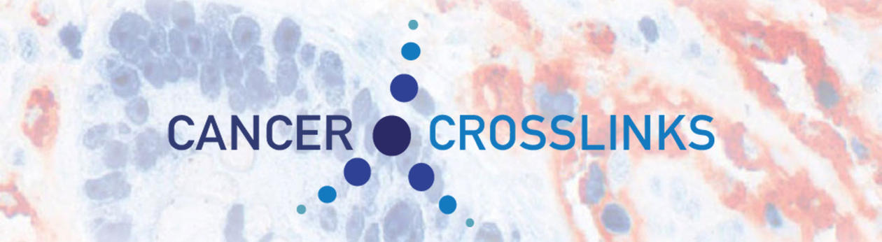 10th Cancer Crosslinks 2018 | Centre for Cancer Biomarkers CCBIO | UiB