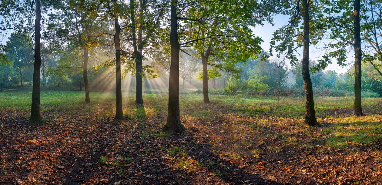 Transdisciplinary Quality Analysis of Integrated Ecosystem Assessments ...