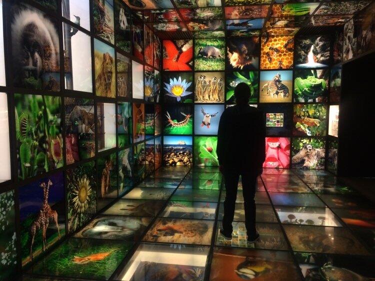 Global survey on biosphere reserves | UNESCO Chair: Sustainable ...