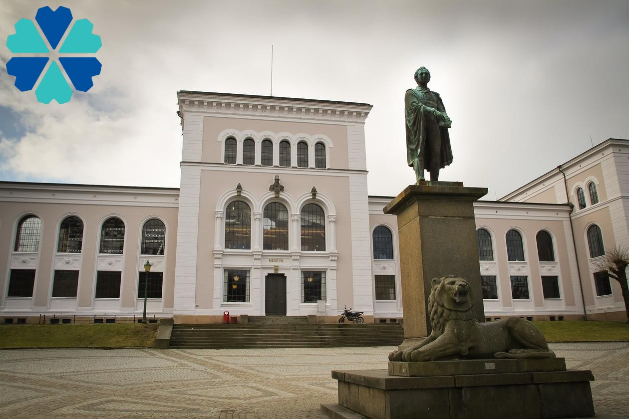 Felles arbeidsmiljøundersøkelse | HR-avdelingen | UiB