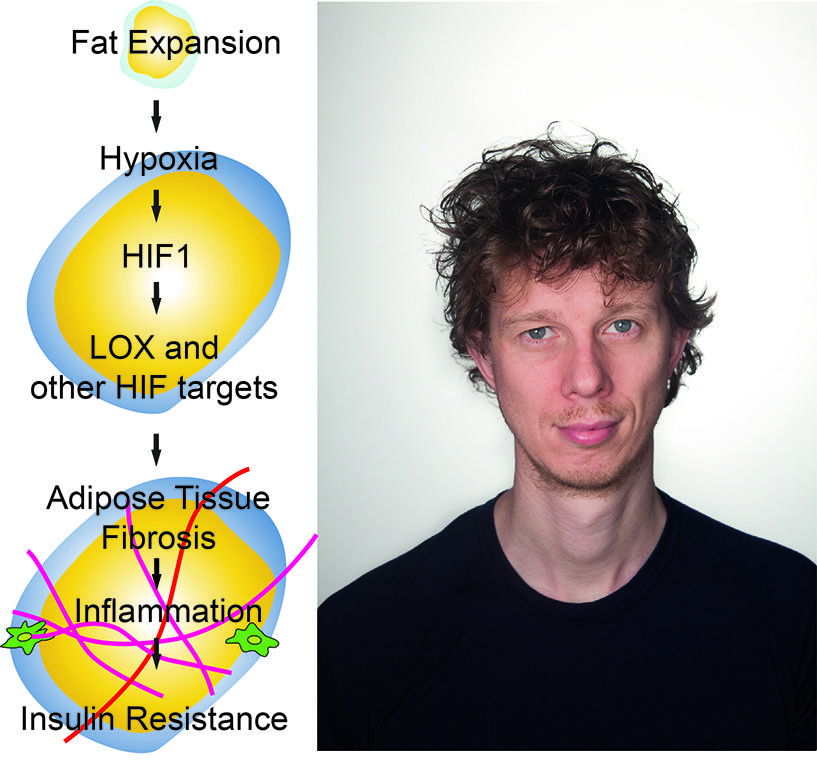 BFS til Nils Halberg ved Institutt for biomedisin! | Institutt for ...