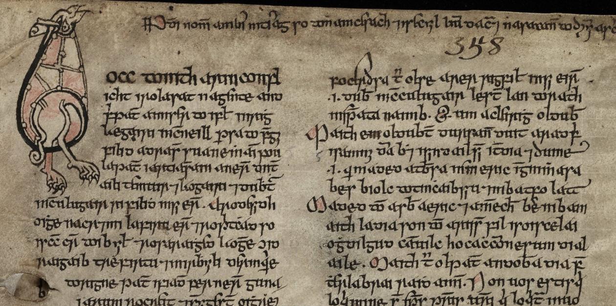 Early Irish Law as Historiography | Department of Linguistic, Literary ...