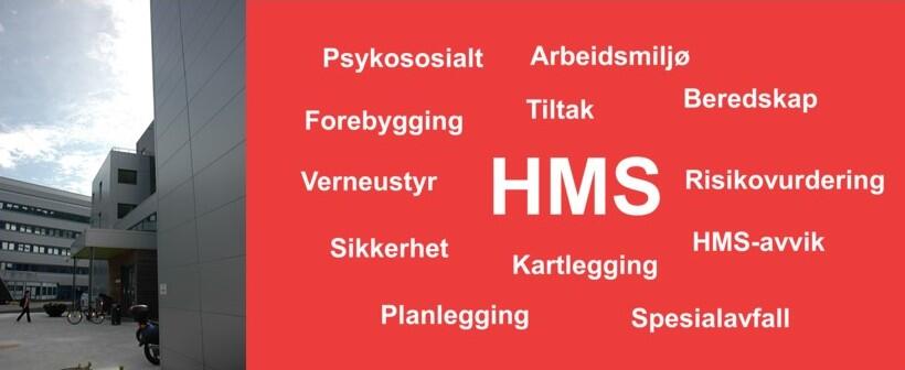 HMS-håndbok for Institutt for biovitenskap | Institutt for biovitenskap ...