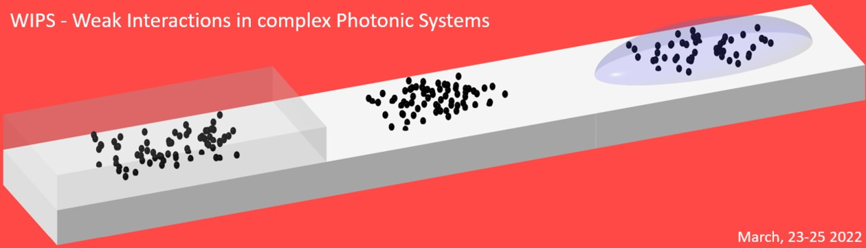 WIPS - Weak Interactions in complex Photonic Systems | Nanophysics | UiB
