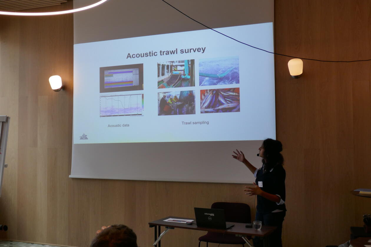 Joint CEDAS & NORBIS Summer School 2023 August 7 - 11 | Center for Data Science | UiB