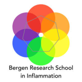 Bergen Research School in Inflammation (BRSI) | Department of Clinical ...