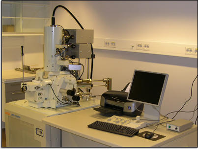 Jeol JSM-7400F (Scanning electron microscope) | Molecular Imaging Center (MIC) | UiB