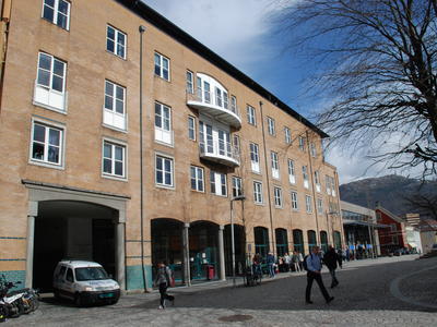 Trail lecture and public defence: Synnøve Marie Vik | Department of ...