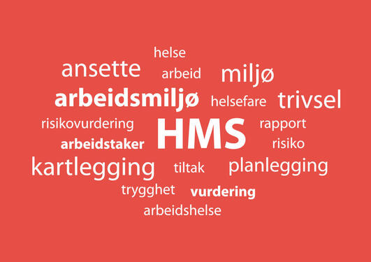 UiB is electing new safety delegates | The HSE-gateway | UiB