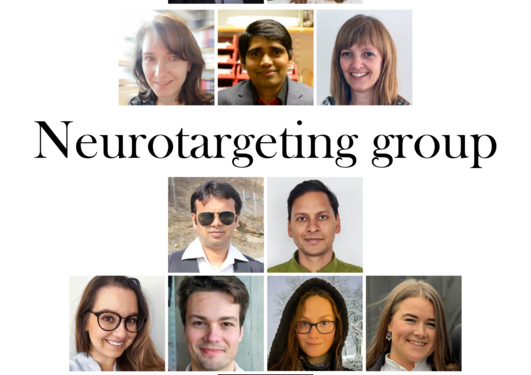 Research groups in the Basic and Translational Neuroscience unit ...