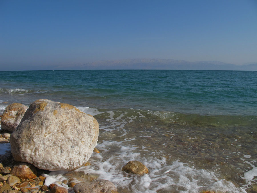 Unraveling the Dead Sea deep biosphere secrets | Centre for Geobiology ...
