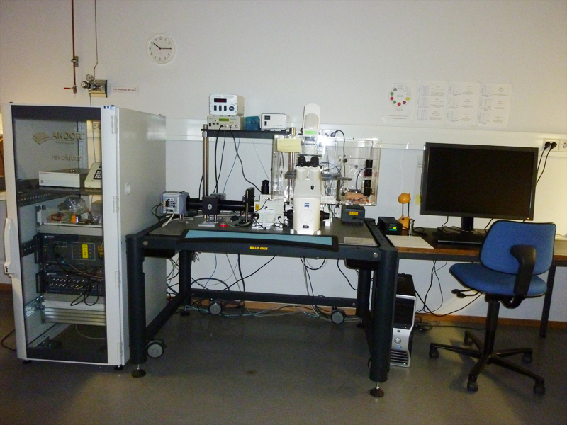 Andor Revolution Imaging System (Spinning disk) | Molecular Imaging ...