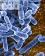 Control of infectious agents | The Laboratory Animal Facility | UiB