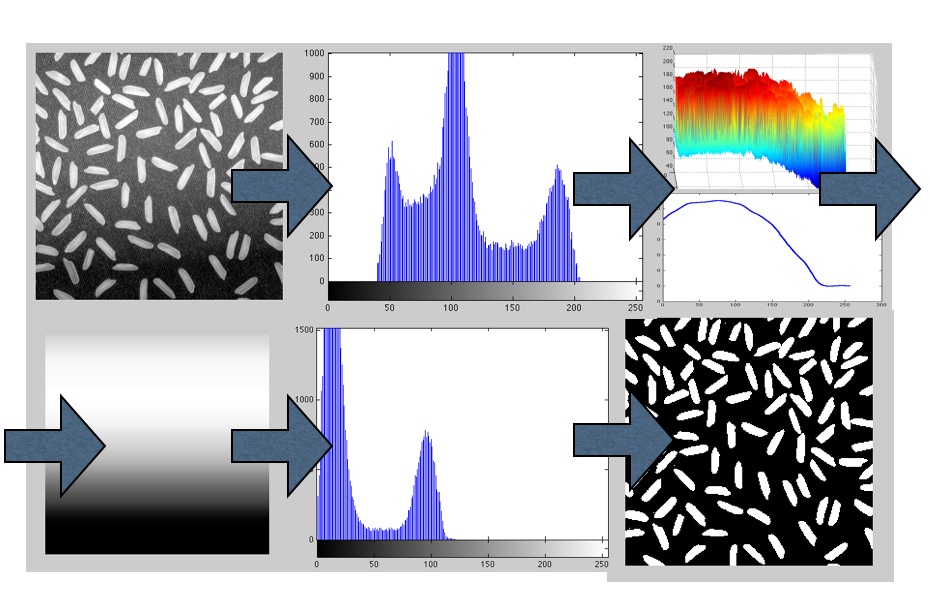 Images and Signals | Department of Mathematics | UiB