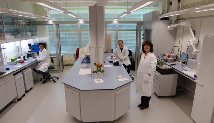 Biomaterials in the new Laboratory building | Biomaterials | UiB