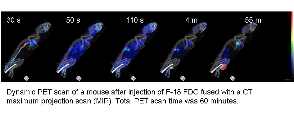 PET/CT facility ready to use | Molecular Imaging Center (MIC) | UiB