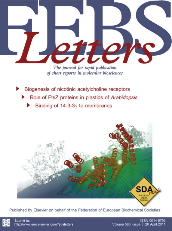 Biorecognition on the cover of FEBS Letters | Biorecognition | UiB