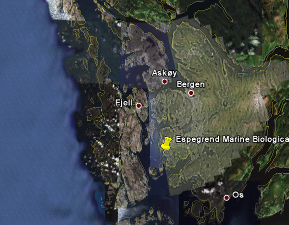 Map | Department of Biological Sciences (BIO) | UiB