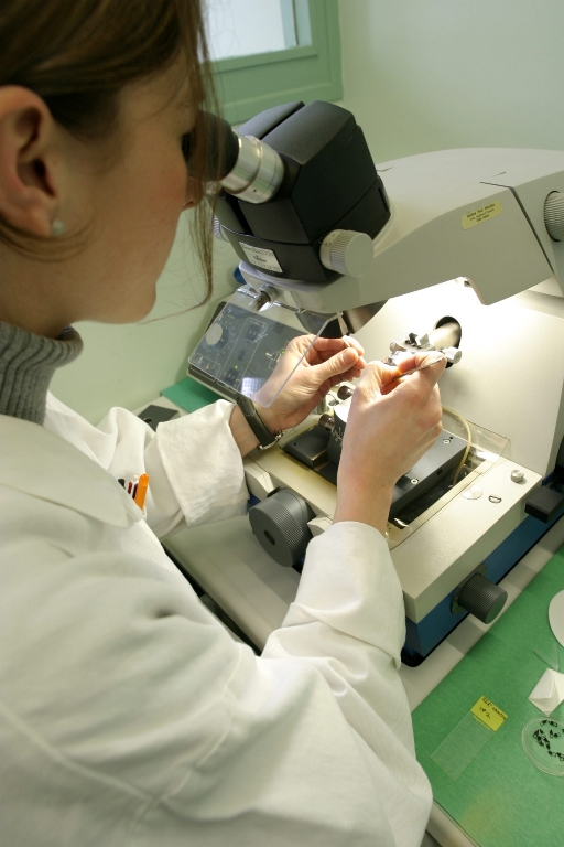 Ergonomics in laboratories | The HSE-gateway | UiB