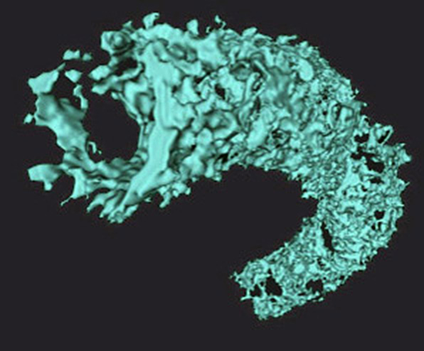 Research Overview | Centre for Geobiology | UiB