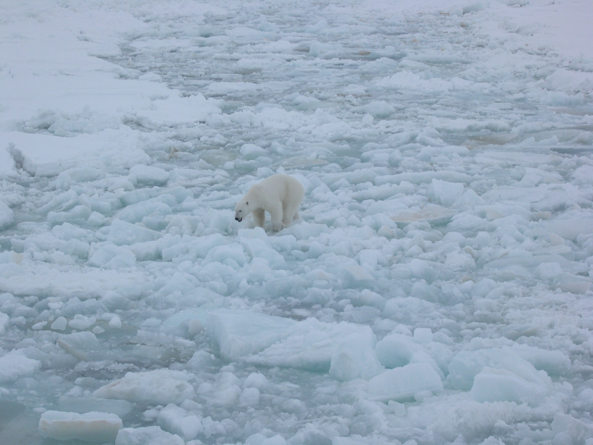Ocean-cryosphere - polar regions | Physical Oceanography | UiB
