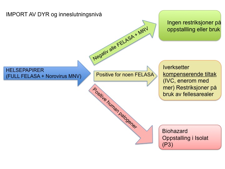 Kontroll med smitte, patogener og mikrobiell status | Dyreavdelingen | UiB